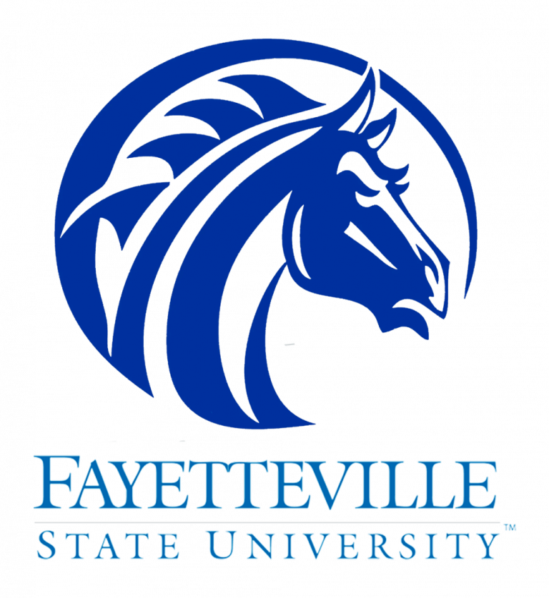 StingBox: Simple & Affordable Network Honeypot Solution