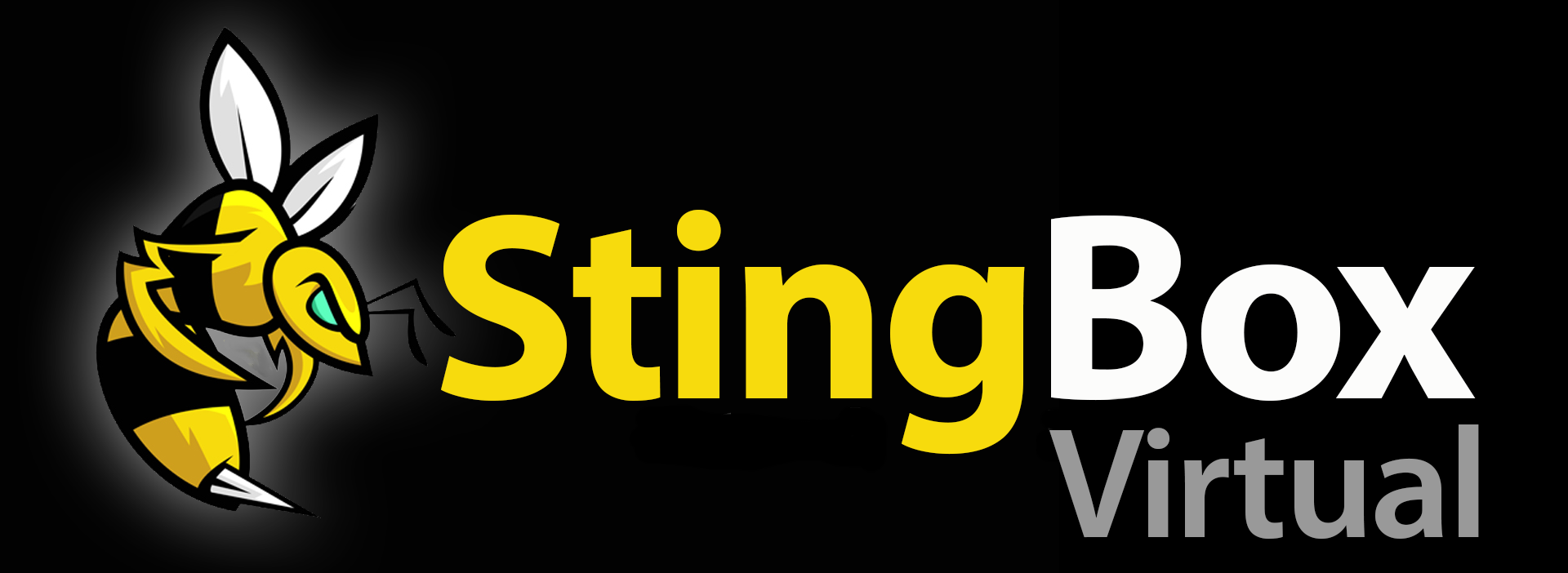 StingBox Virtual Honeypot: Flexible & Easy Deployment