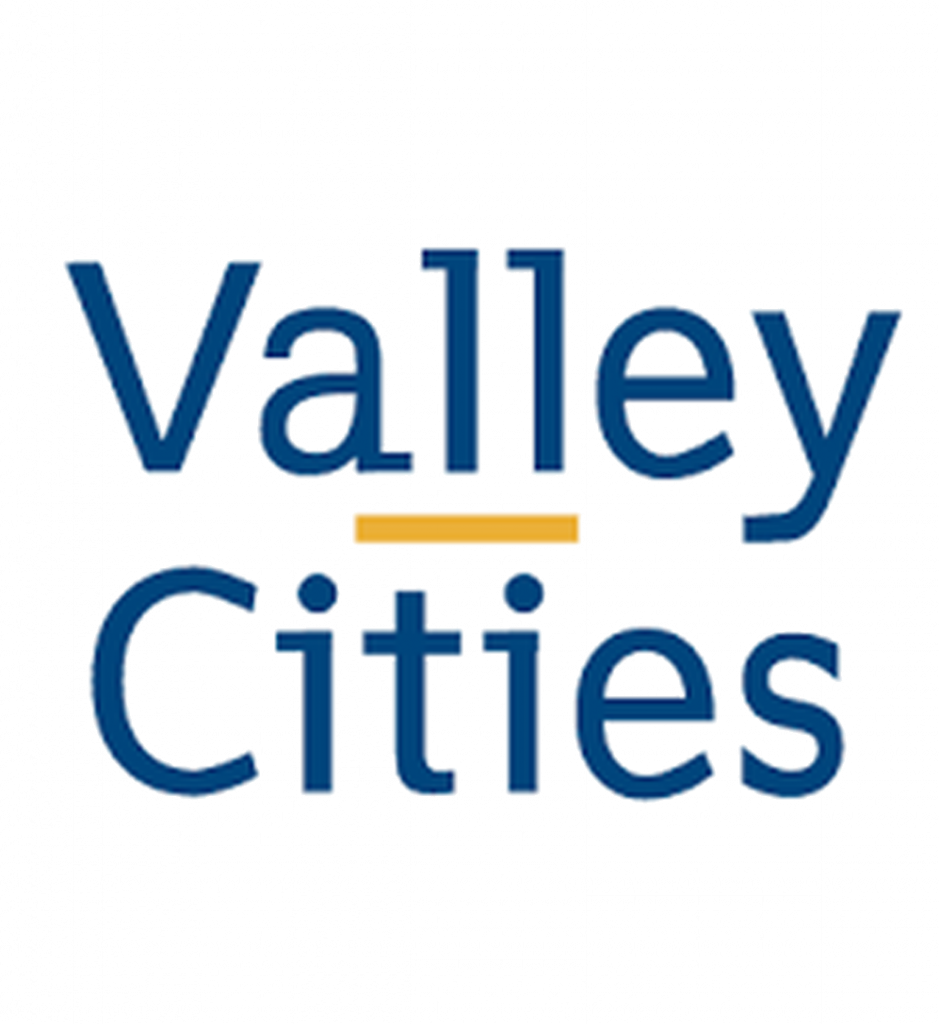 StingBox Pricing: Affordable Network Security Solutions